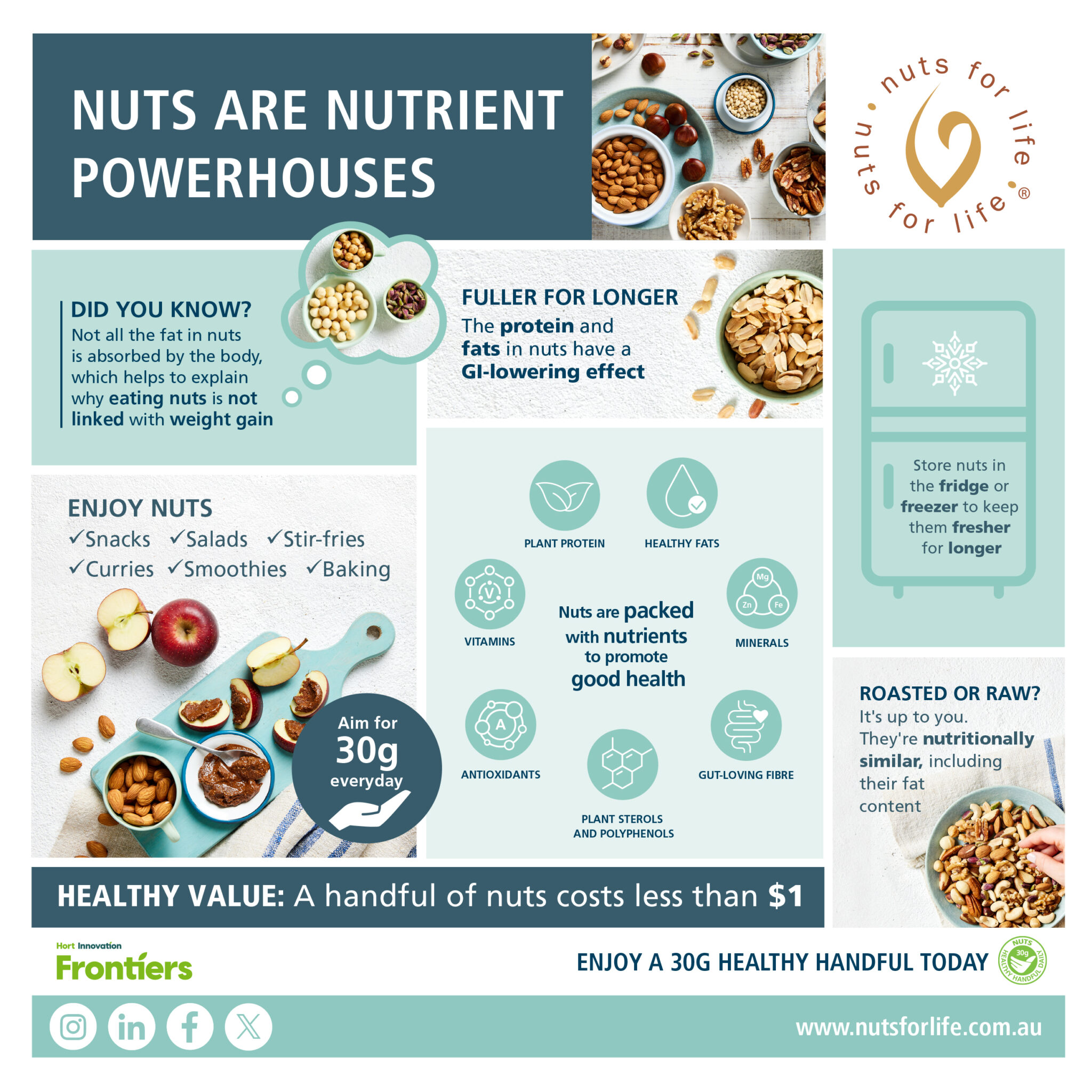 Nuts and health infographics