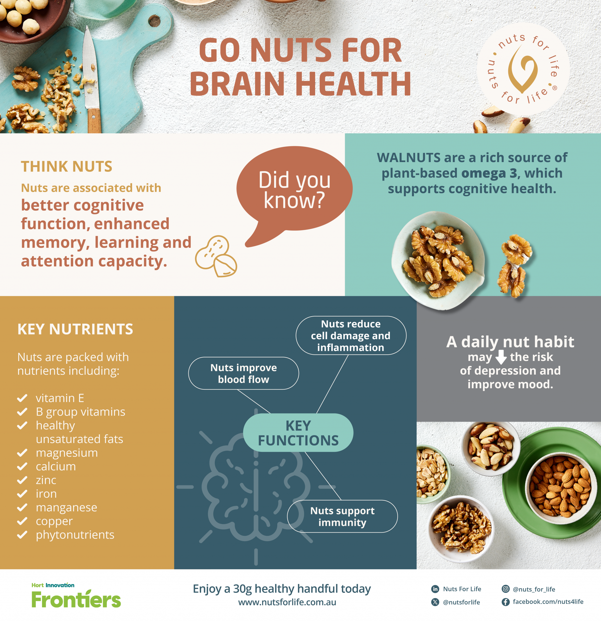Nuts and health infographics