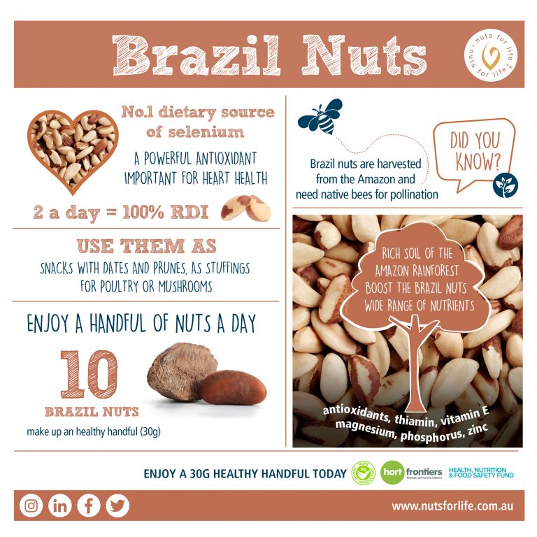 Brazil nuts