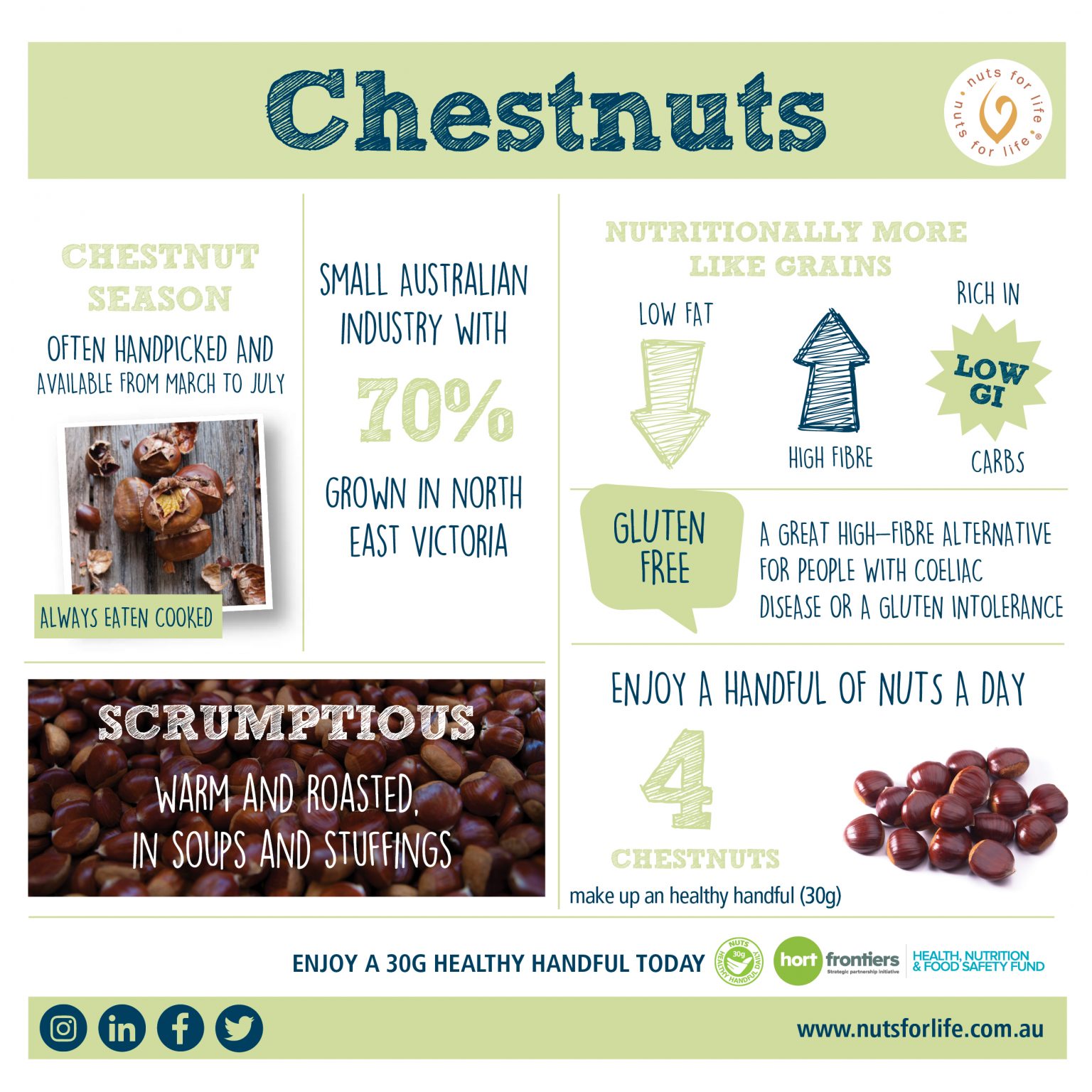 Nut infographics