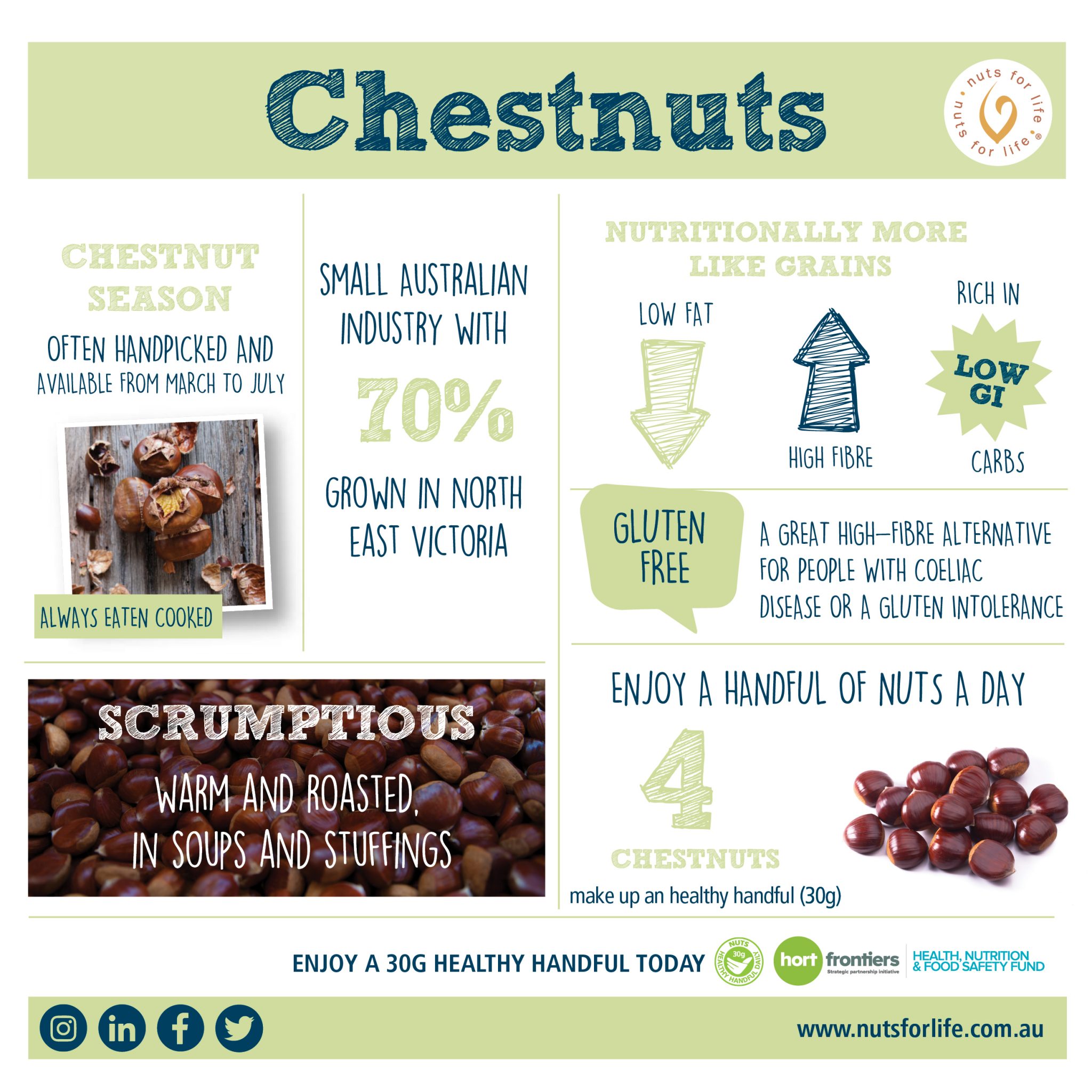 Nut infographics