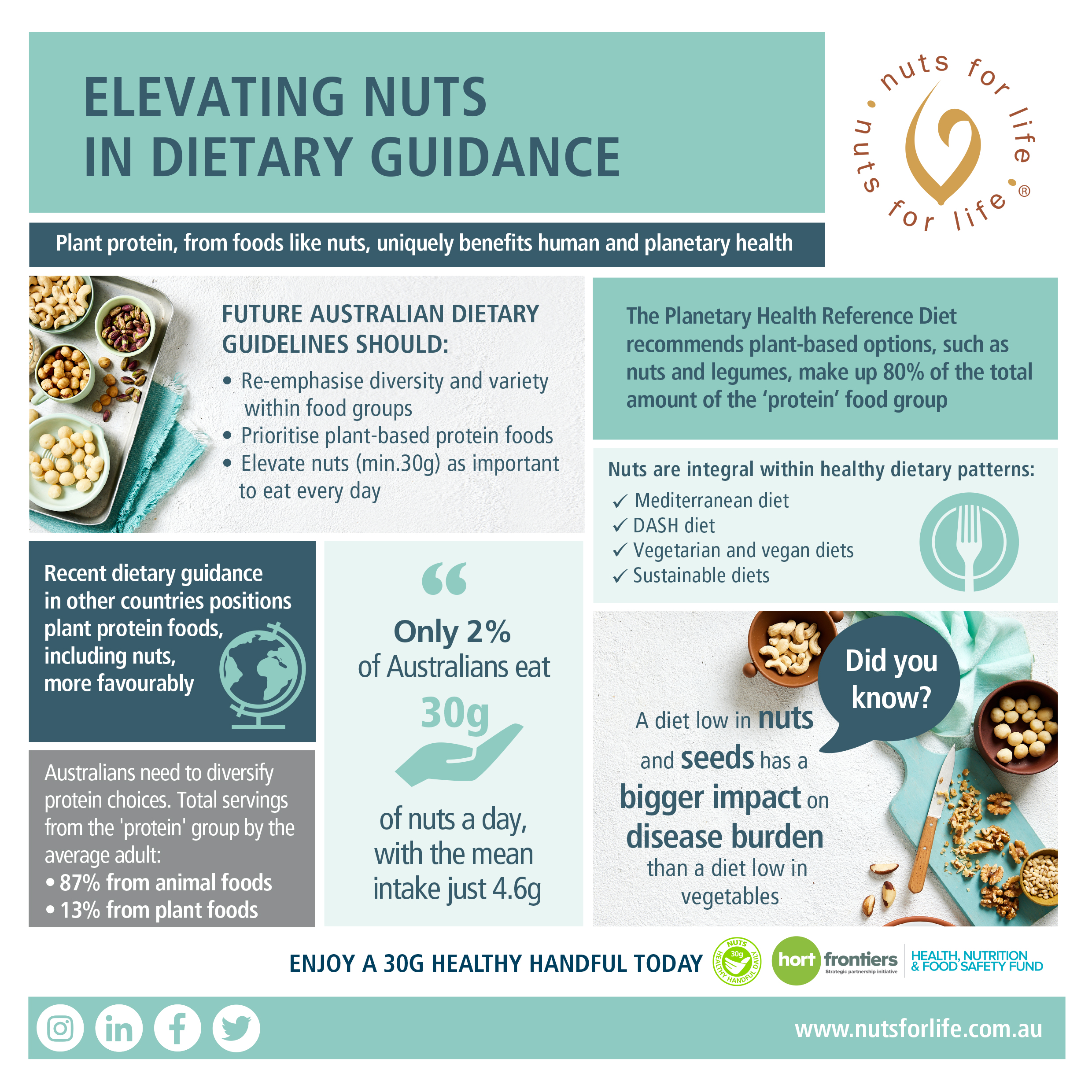 Nuts and health infographics