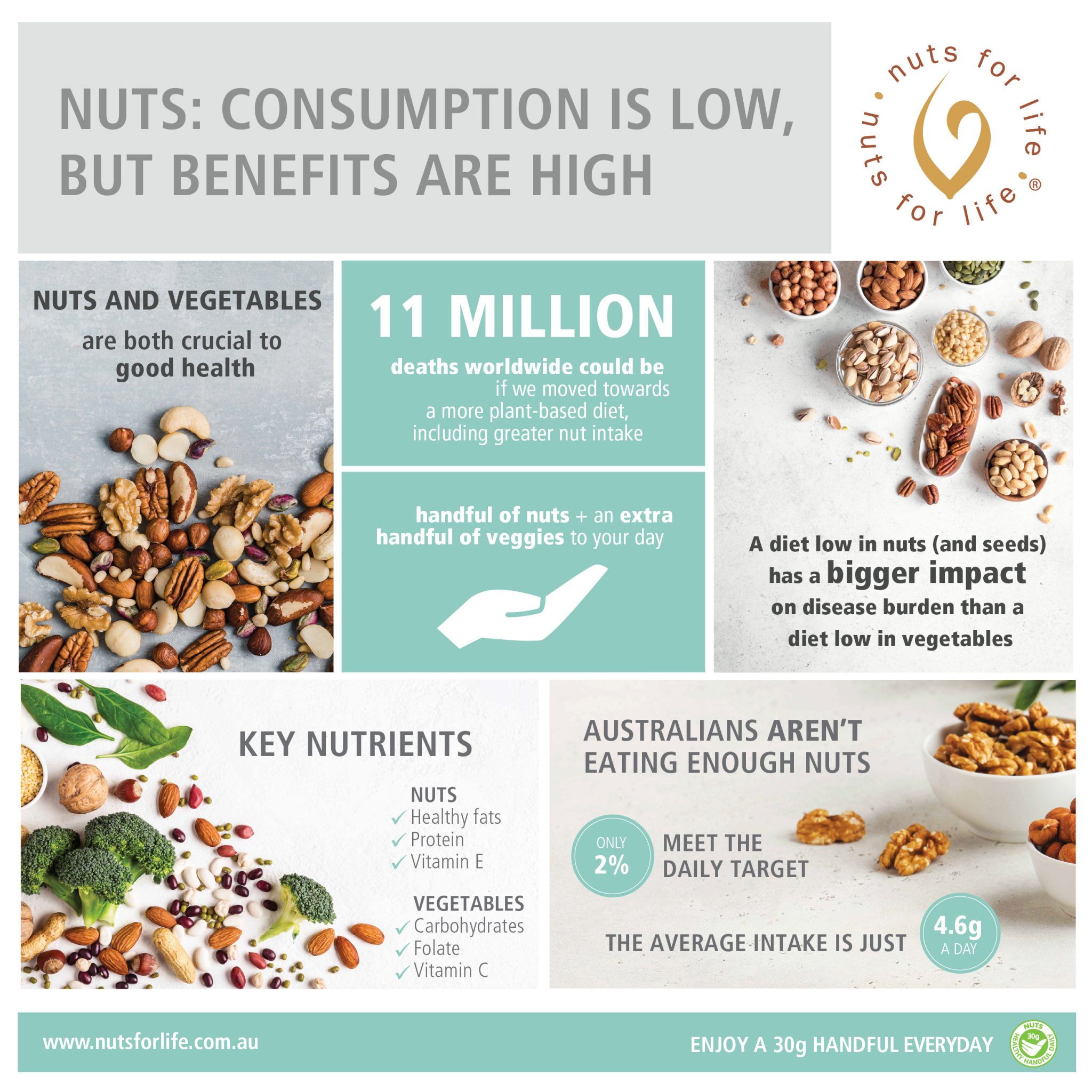 Nuts and health infographics